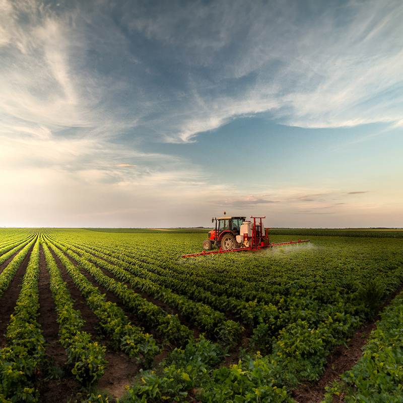 Ethanol Production at Raavi Green Fuels: Sustainable Energy